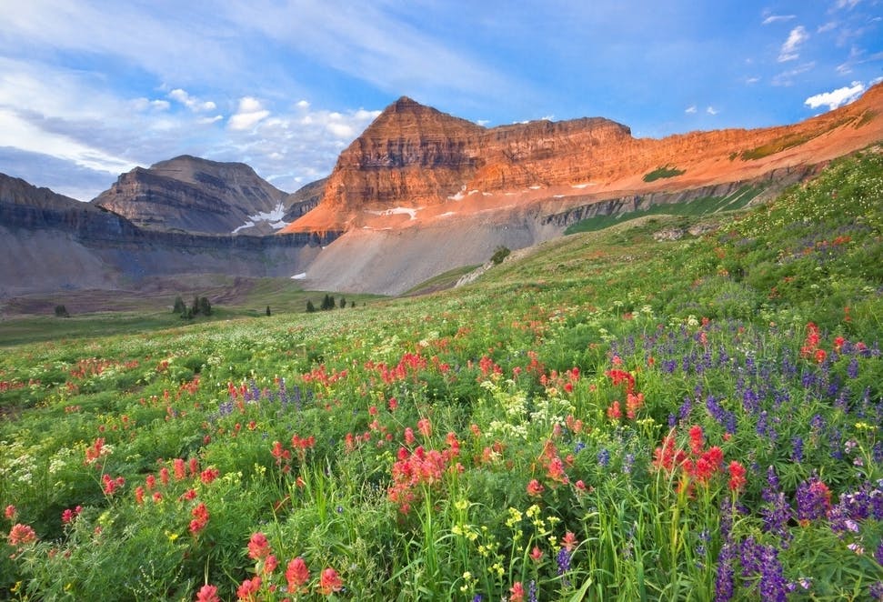 2025 Utah General Contractor License Requirements